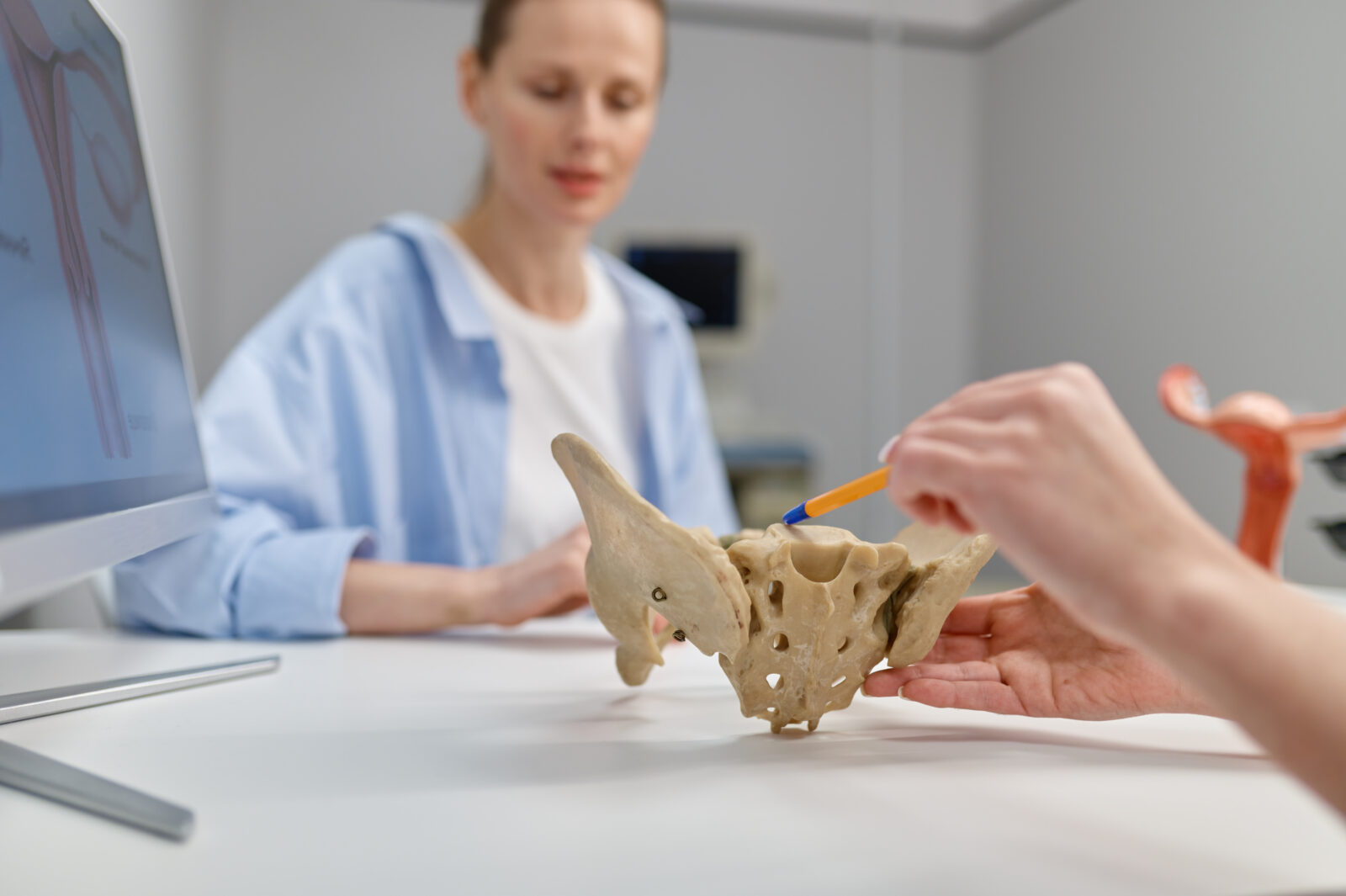 Pelvik Taban Rehabilitasyonu Nedir? - Doktor Fizik